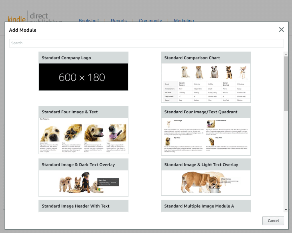 How To Add Images to Your KDP Listings To Create A Plus Content - Book Bolt
